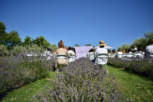 The Launch of Lissom – LISSOM